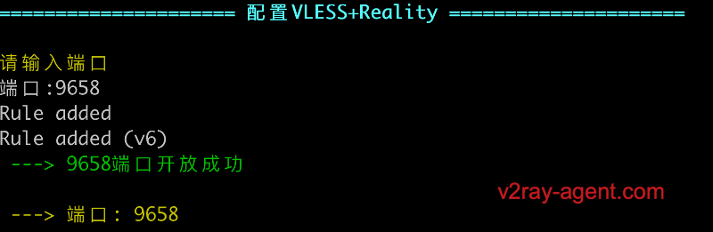 搭建最新的VLESS Vision和VLESS Reality防止VPS端口封禁 | mack-a